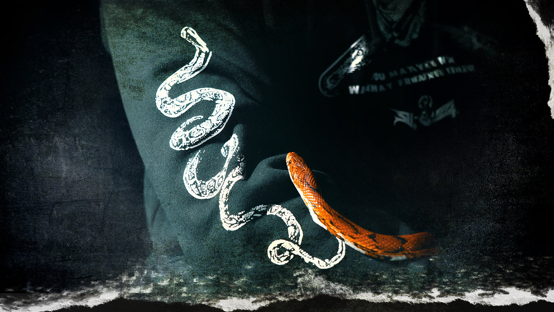 SUSU Official Merch Store – SUSU_JPG